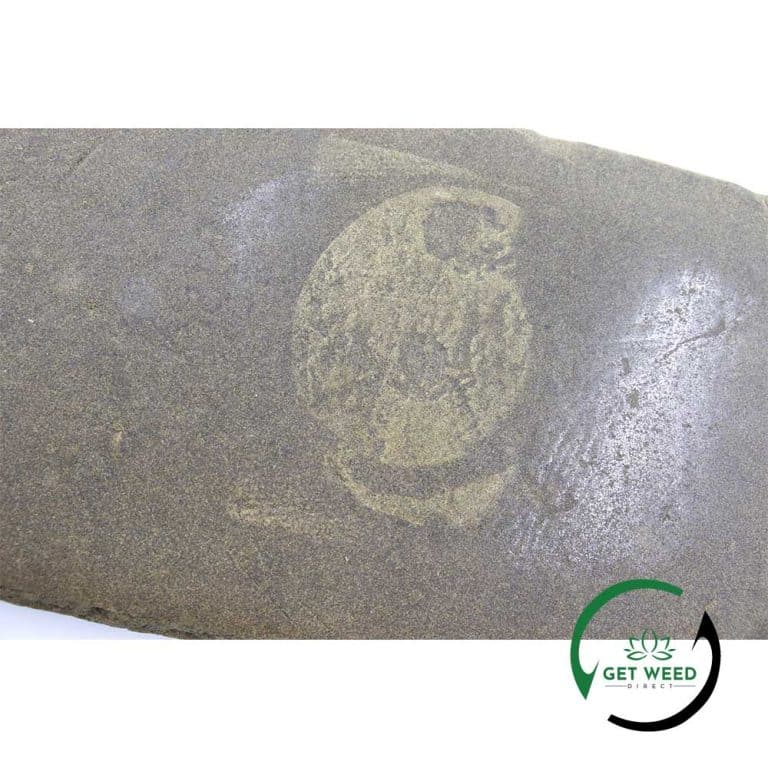 Buy Mango Hash Online At Get Weed Direct In Canada